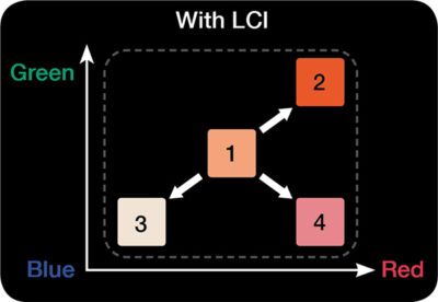 LCI - Endoscopy - SeeLearn Europe