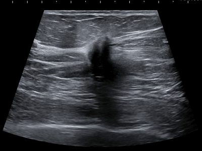 Home - Ultrasound Radiology - SeeLearn Europe