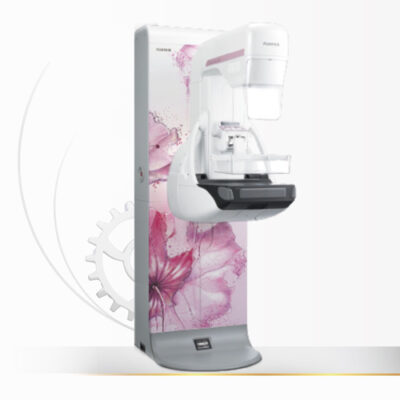 ECR 2023 - SeeLearn Europe