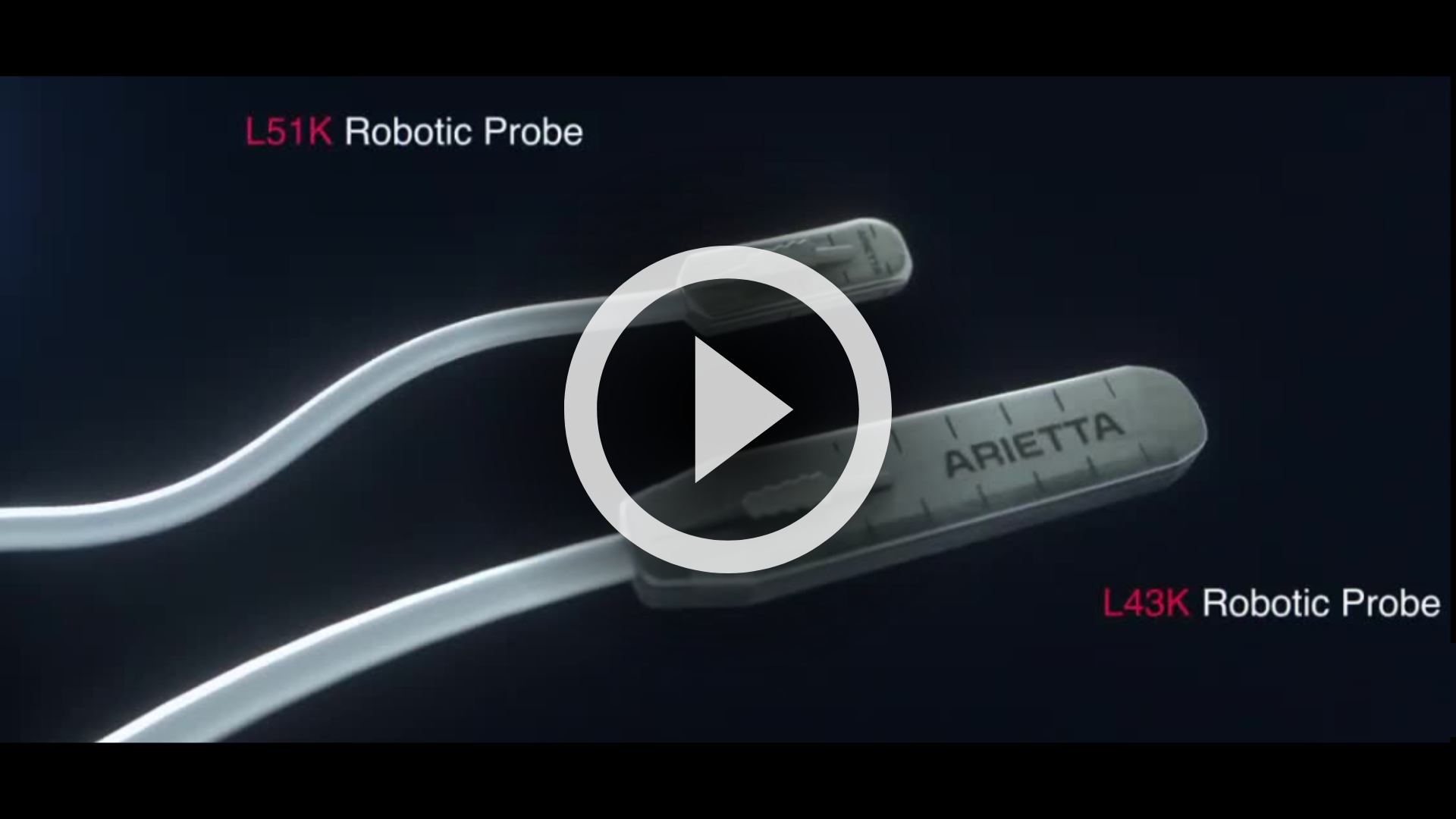 ERUS23 - SeeLearn Europe