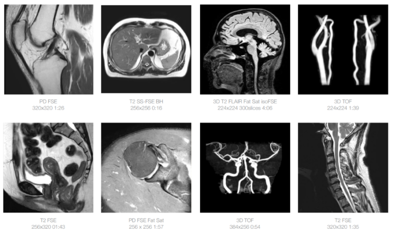 ECHELON Synergy - SeeLearn Europe