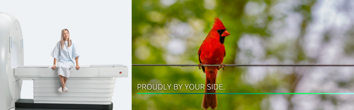 ECHELON Synergy - SeeLearn Europe