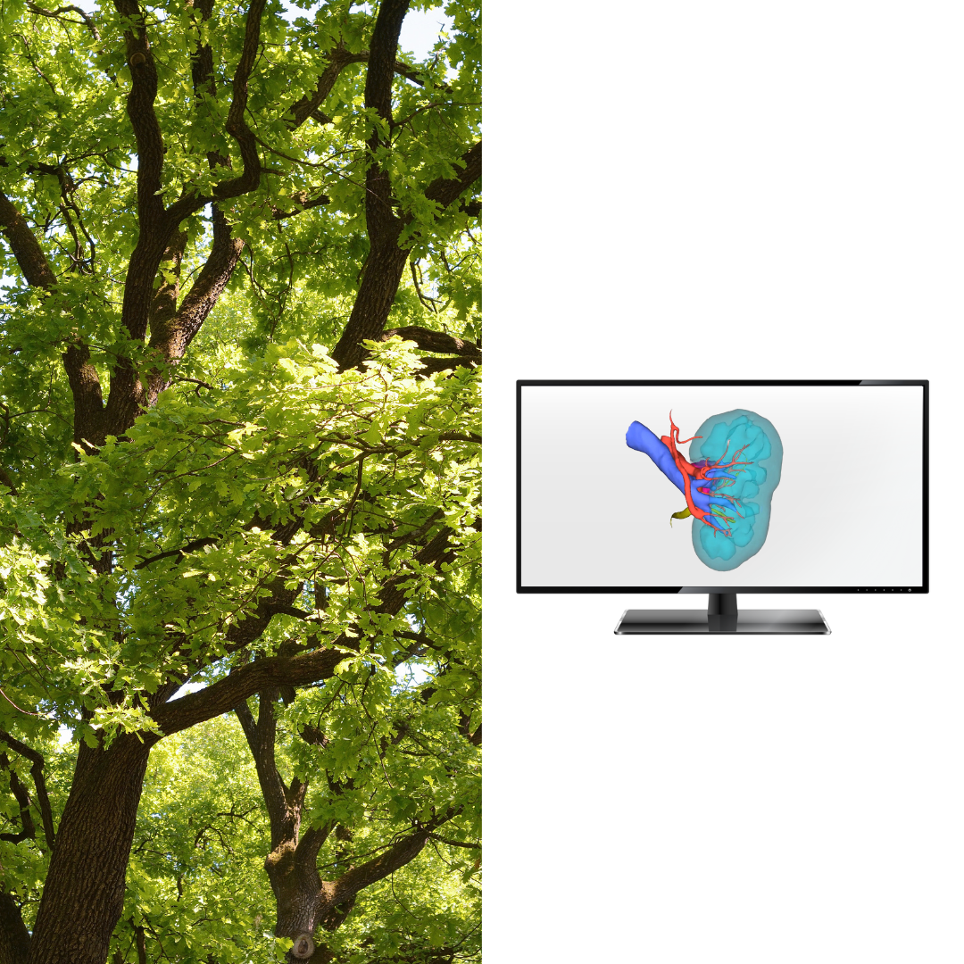 Enterprise Imaging - SeeLearn Europe