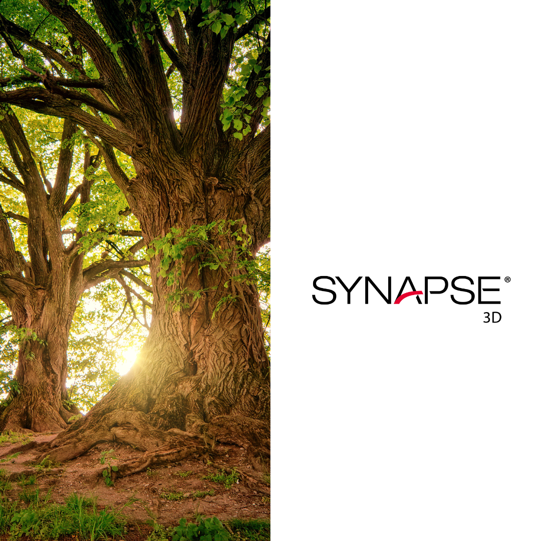 Enterprise Imaging - SeeLearn Europe