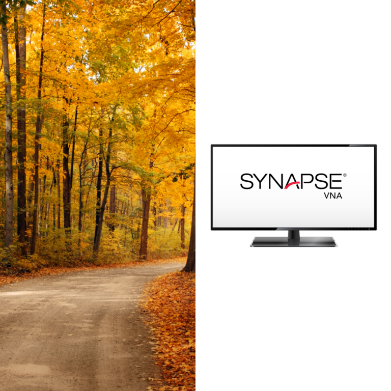 Enterprise Imaging - SeeLearn Europe