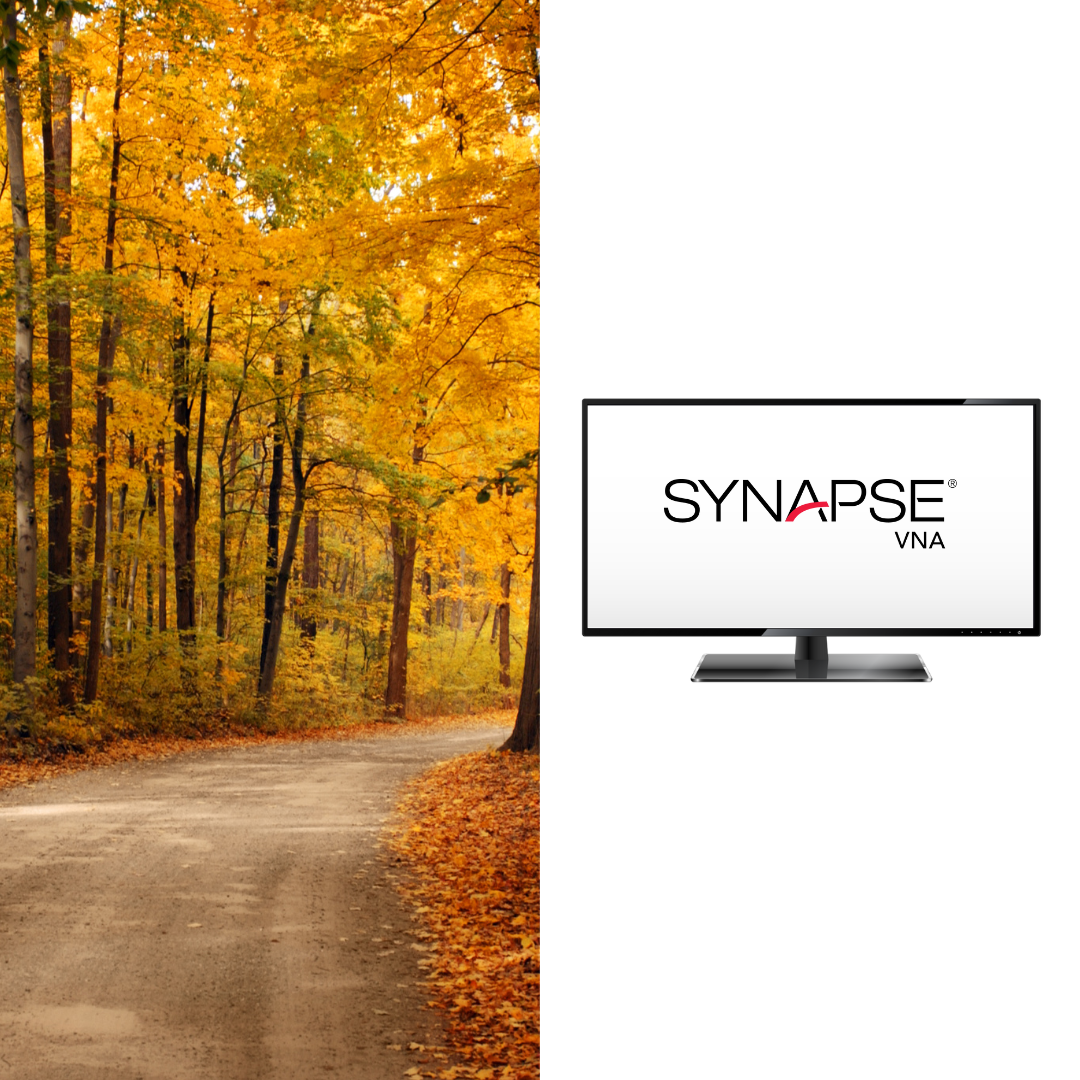 Enterprise Imaging - SeeLearn Europe