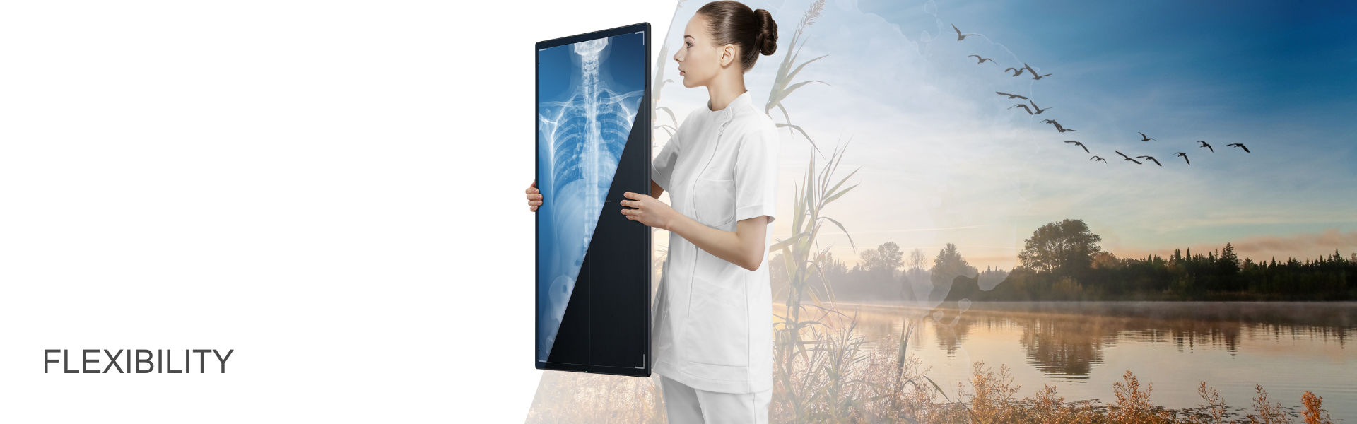 D-EVO III - SeeLearn Europe